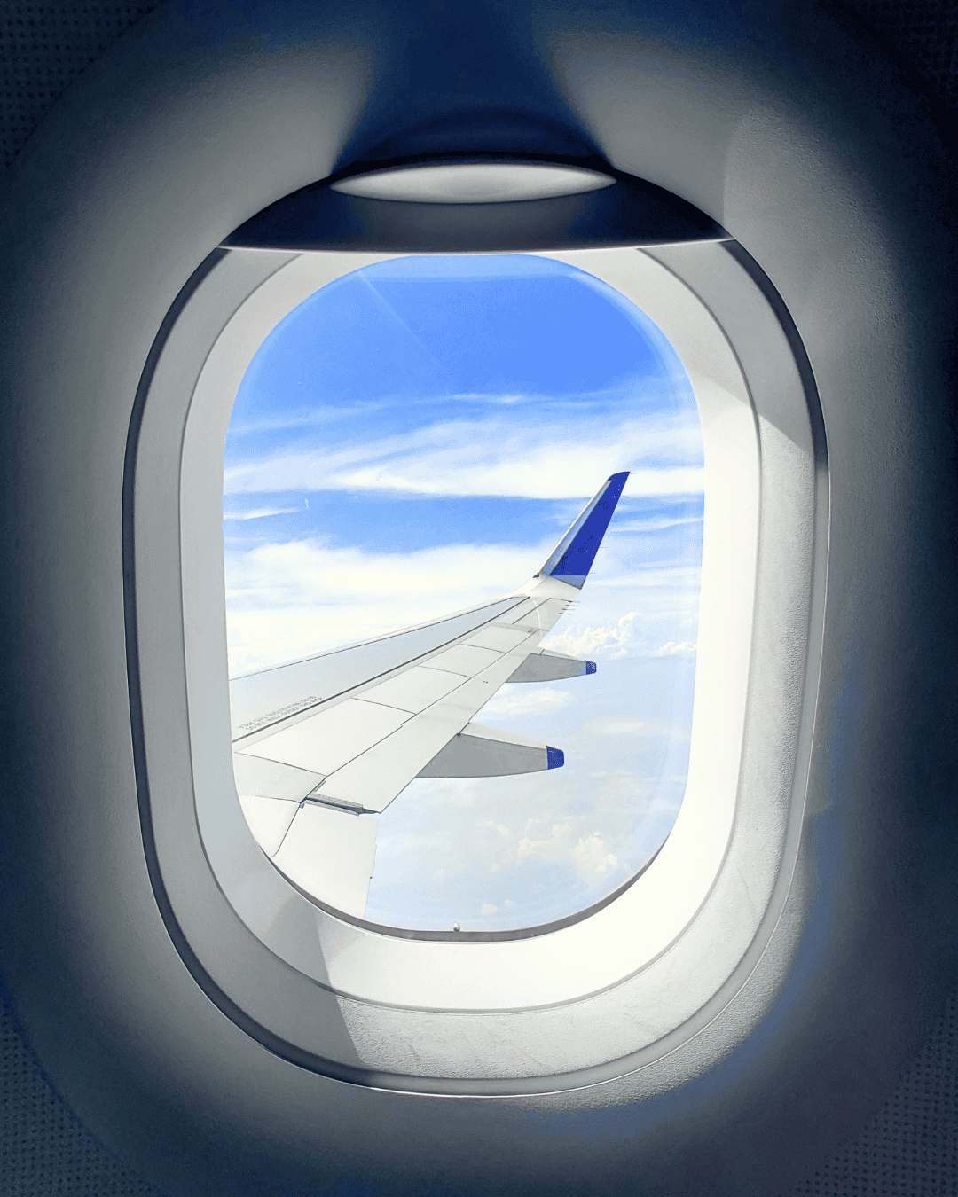 Top Tips For Your First International Flight: What You Need to Know ...